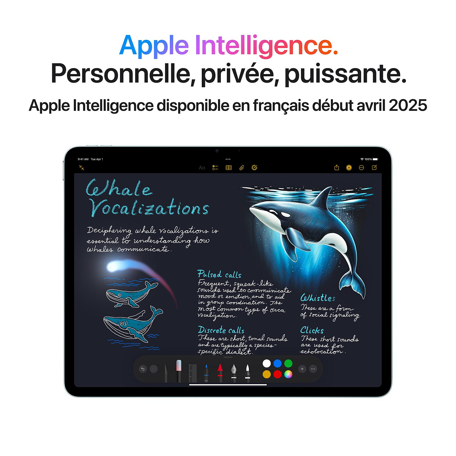 Apple iPad Air M3 13in (2025) Wi-Fi 1Tb Plata - Tablet - LDLC ...