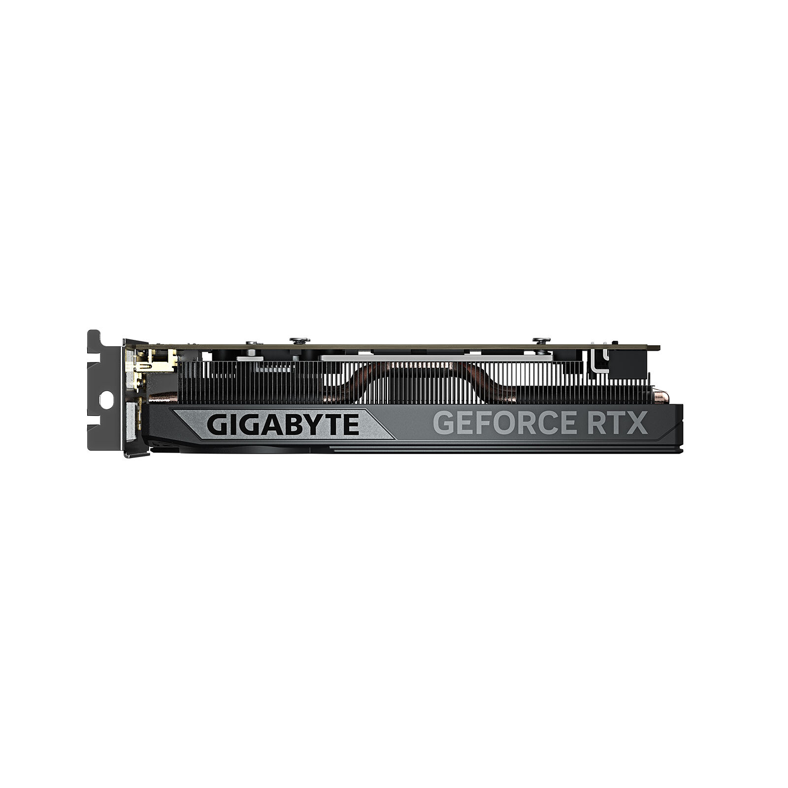 Gigabyte GeForce RTX 5050 OC Low Profile 8G - Graphics card - LDLC