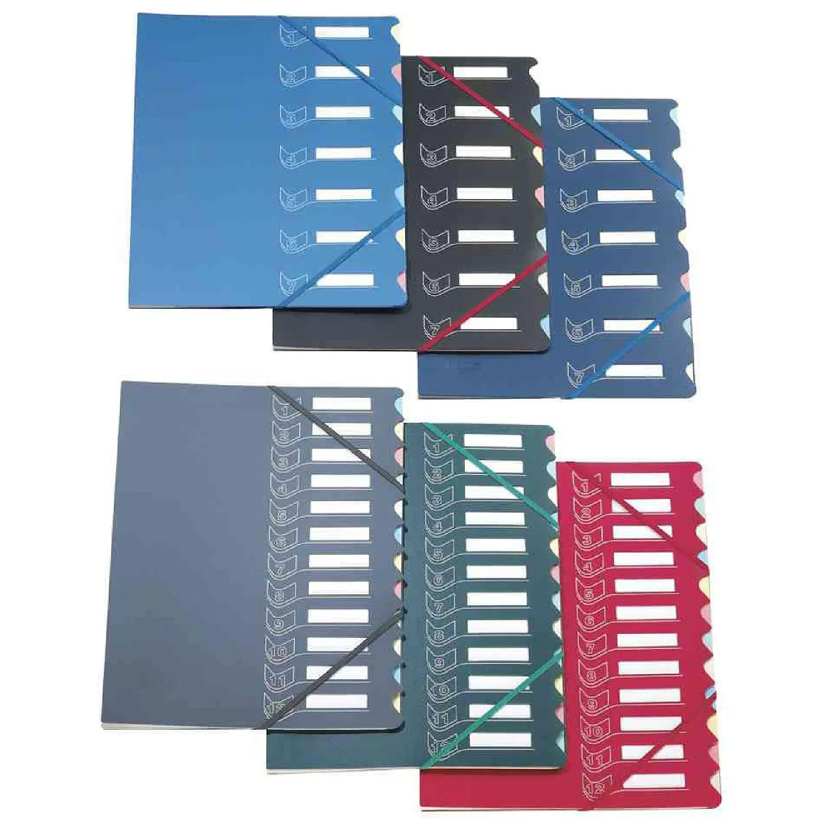 EXTENDOS Trieur à élastique série 437 - 12 touches polypro coloris ...